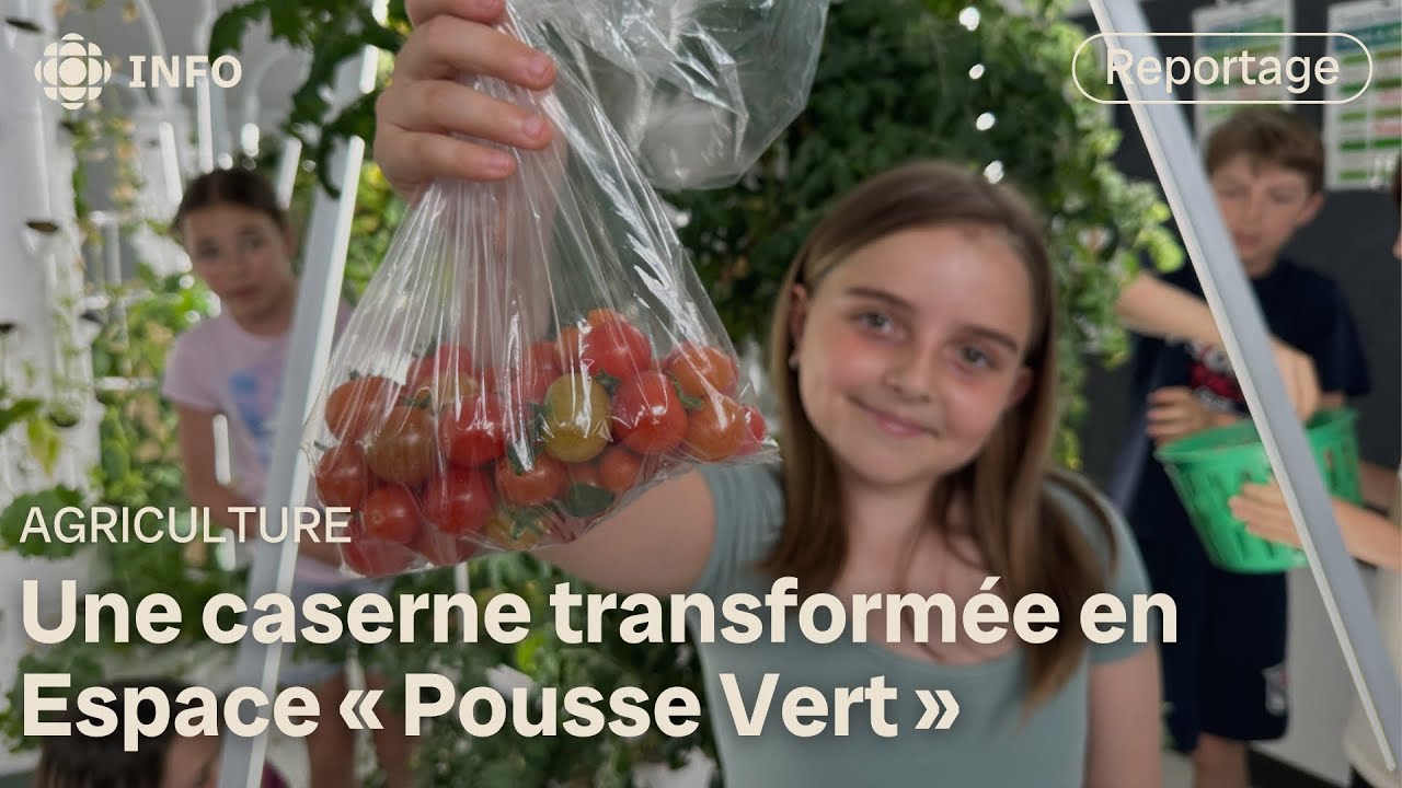 Un projet scolaire pour redonner le pouce vert aux jeunes - YouTube