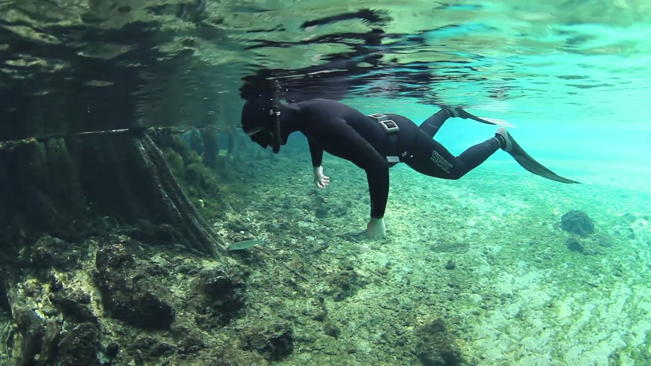 Freediving through Florida's sand boils - YouTube