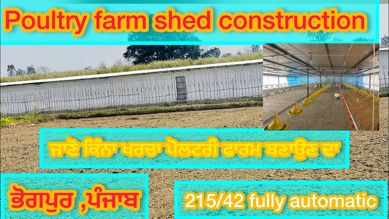 Ib group contract poultry farm shed construction| fully automatic ...
