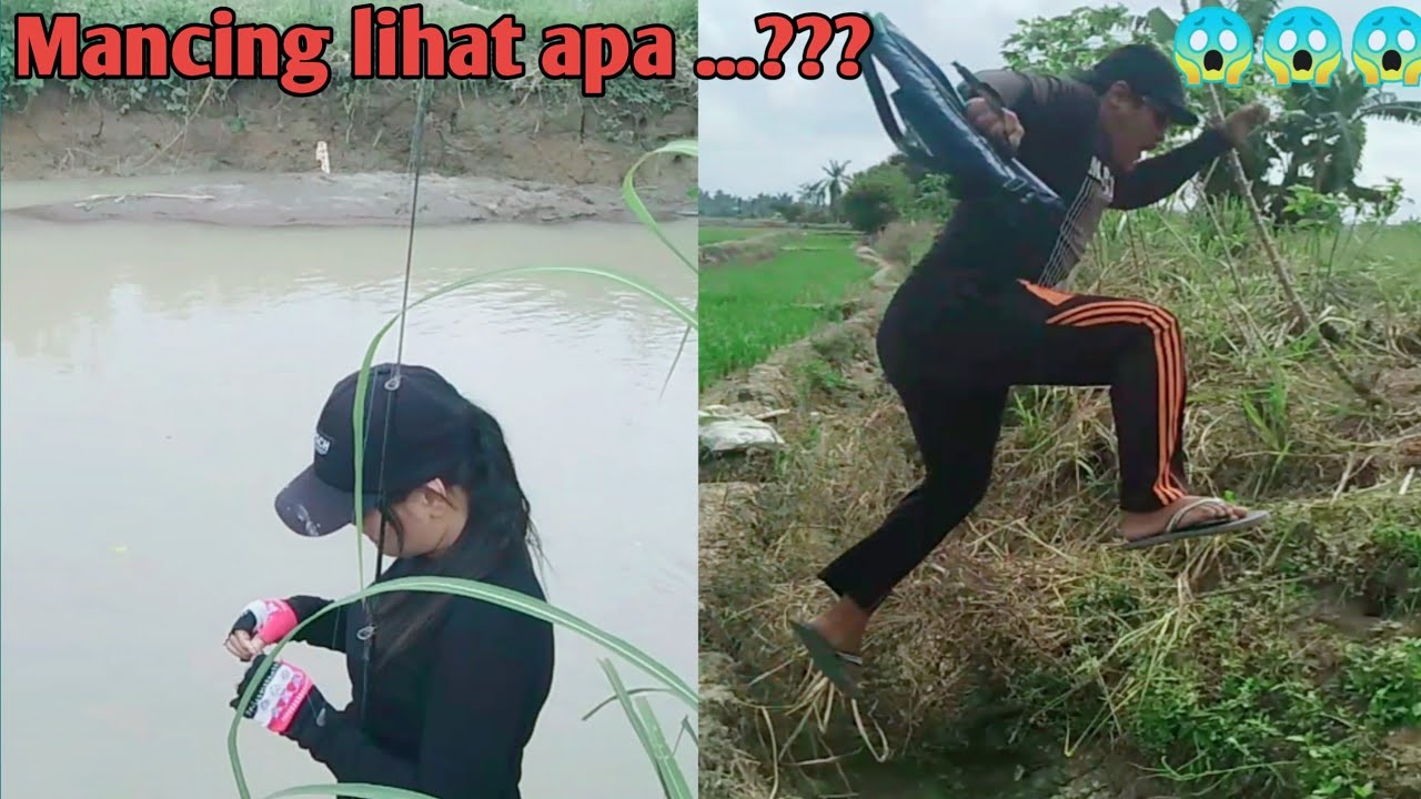 MANCING AMBYAR - FISHING MANIA - MANCING CANTIK - MANCING CANTIK STRIKE ...