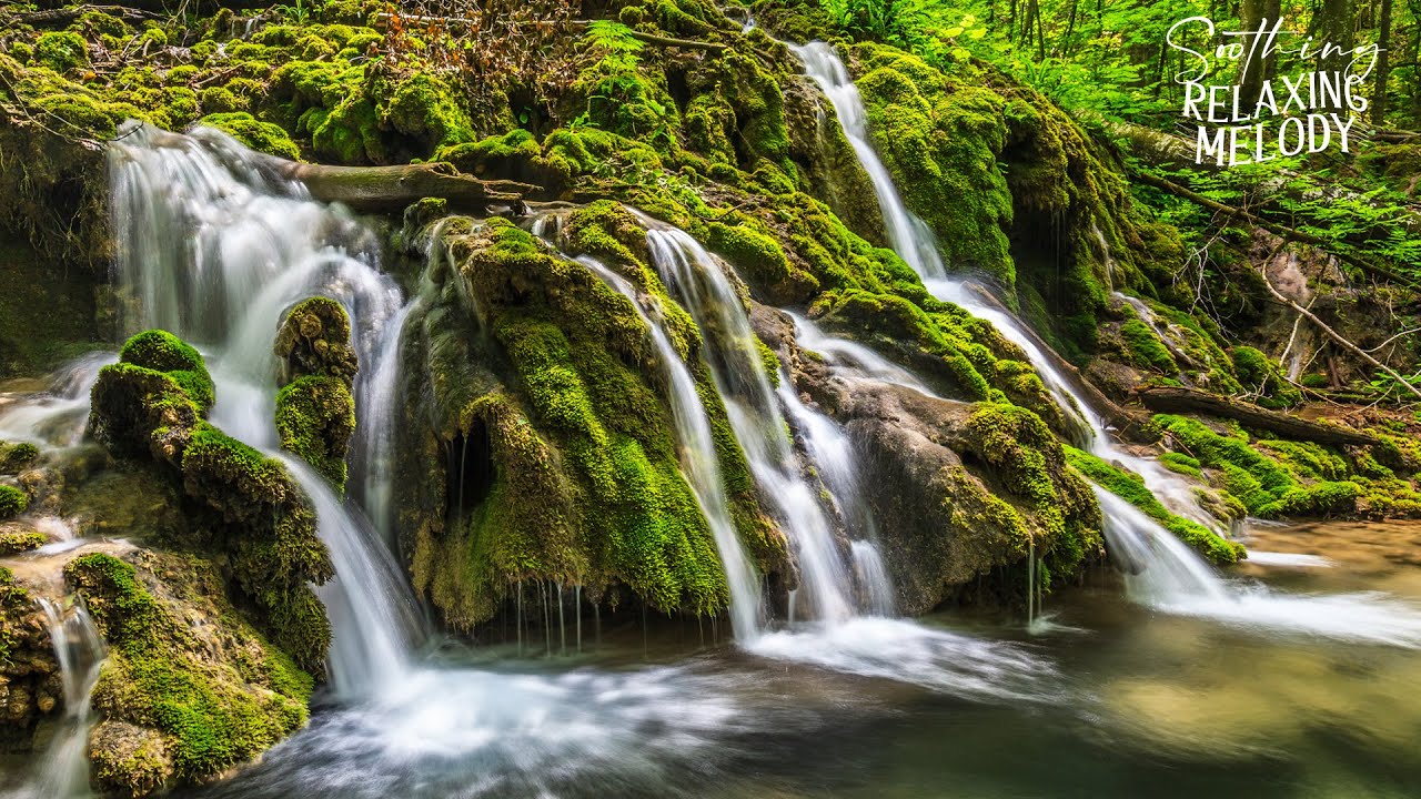 Peaceful Forest Stream - Beautiful Relaxing Music, Stress Relief ...