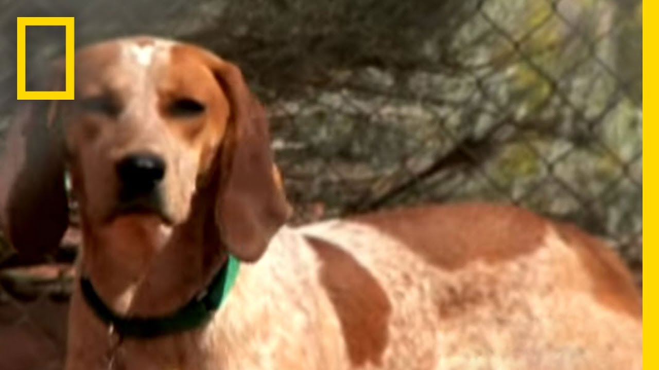 Not Without My Brother! | Dogtown - YouTube