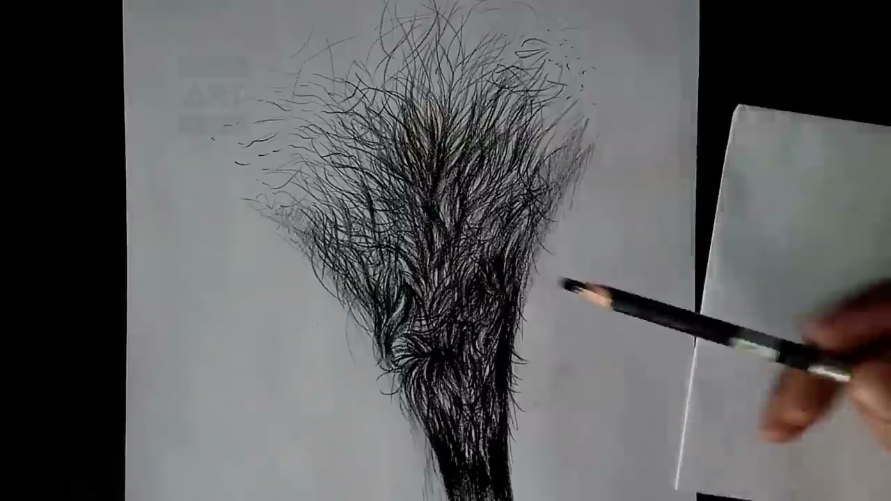 Realistic Hair Drawing | Pencil Shading Technique - YouTube