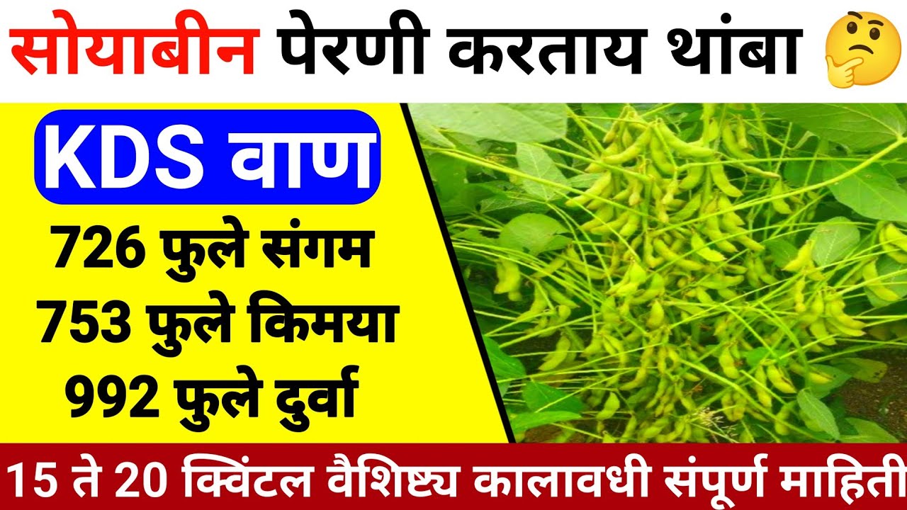 Top 3 variety Soybean | 726 फुले संगम | 753 फुले किमया | 992 फुले ...