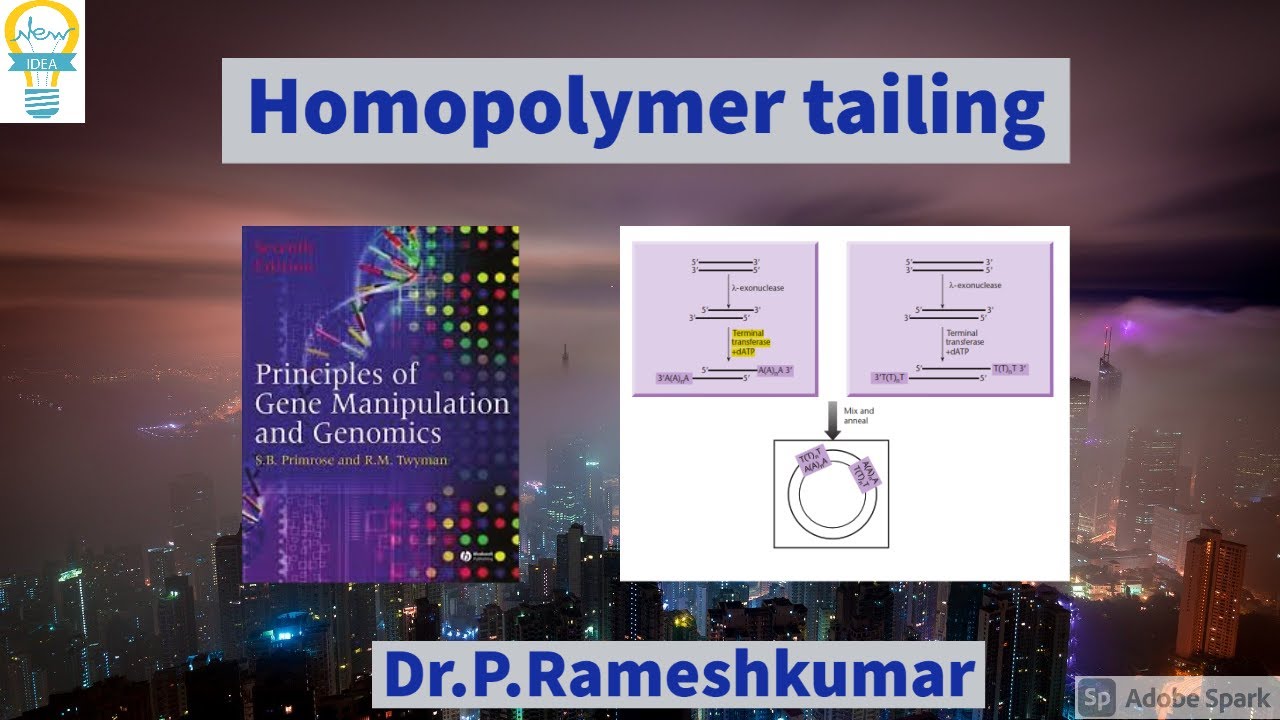 Homopolymer Tailing - YouTube