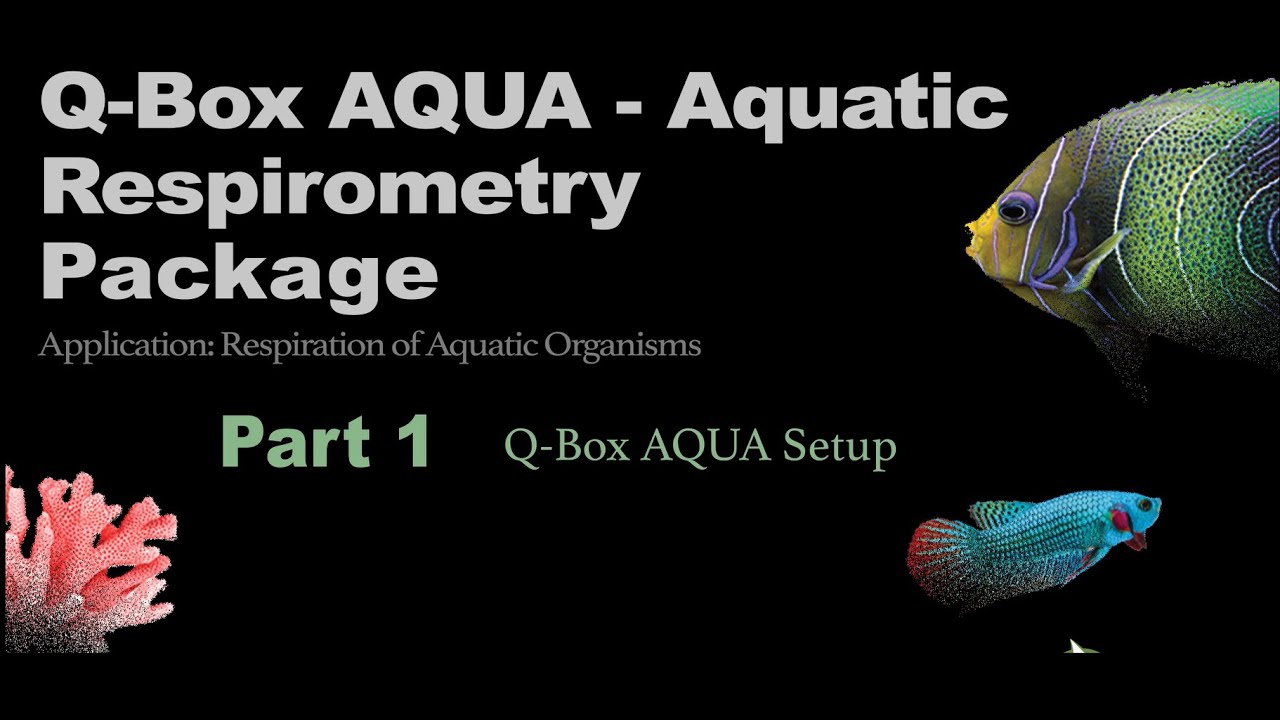 AQUA Part1 - Q Box AQUA Setup - YouTube