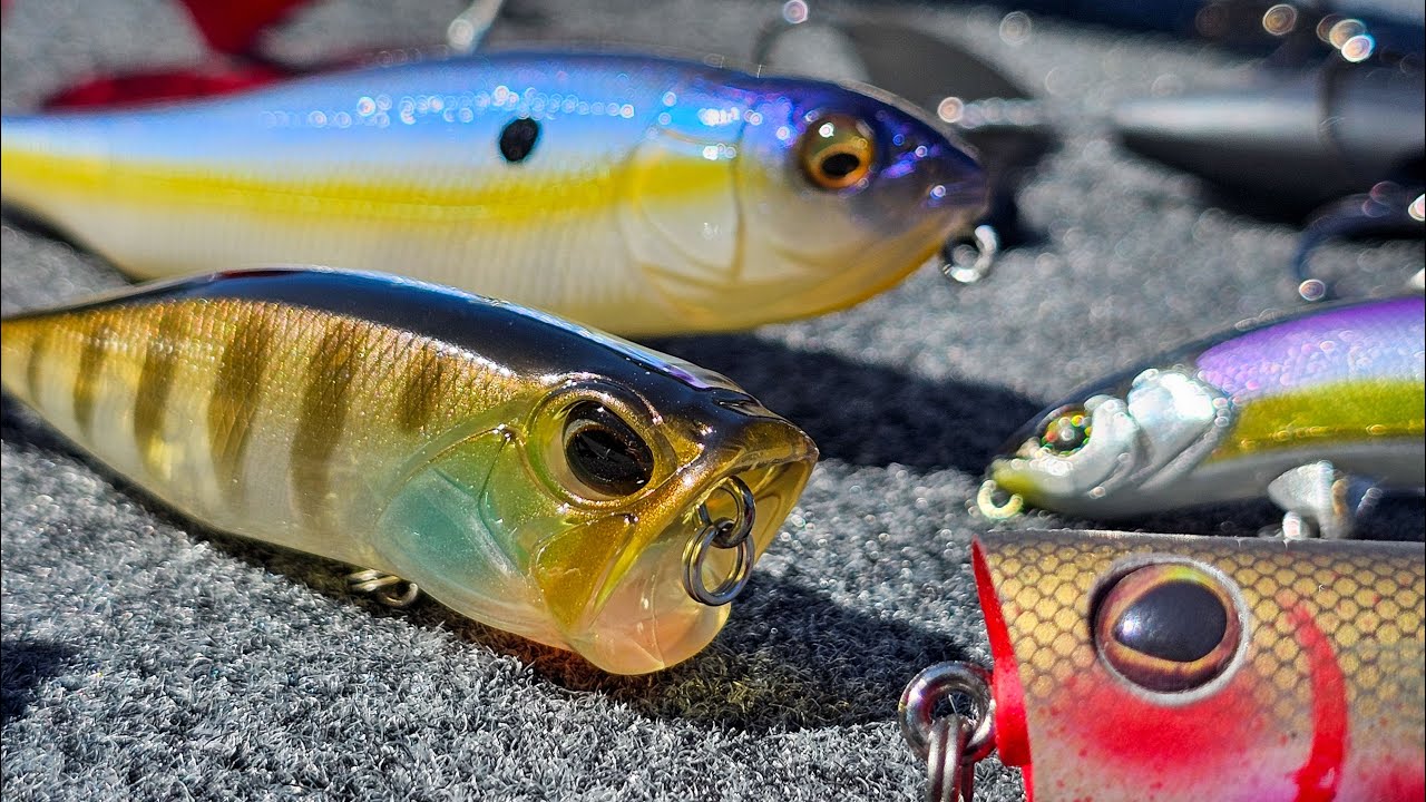 Don't Miss These 5 Overlooked Topwater Baits! They're Amazing!! - YouTube