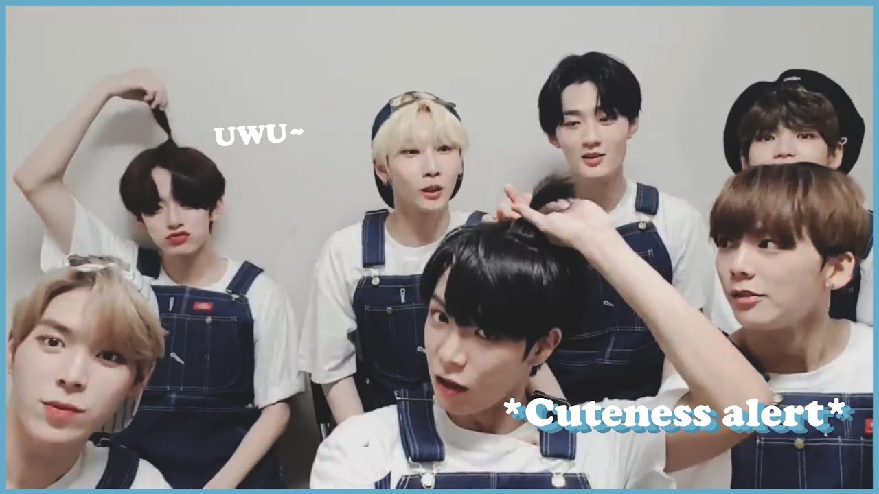 TRY NOT TO UWU CHALLENGEㅣVERIVERY cute moments (Random ver.) - YouTube