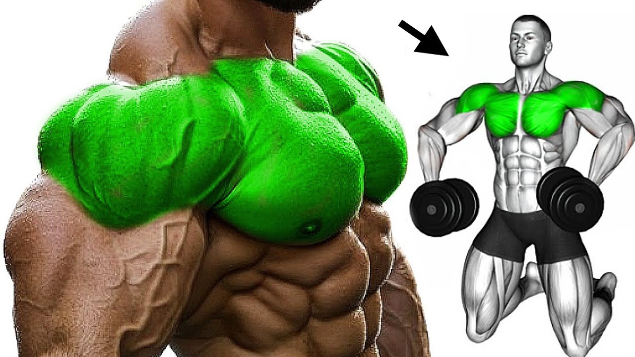 How to Train Your Chest and Shoulders for Maximum Muscle Growth ( Best ...