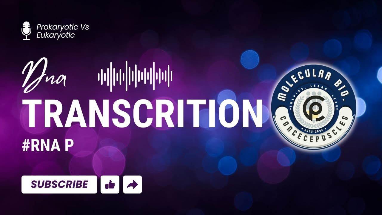 Prokaryotic vs Eukaryotic TRANSCRIPTION | Molecular Biology | IIT JAM ...