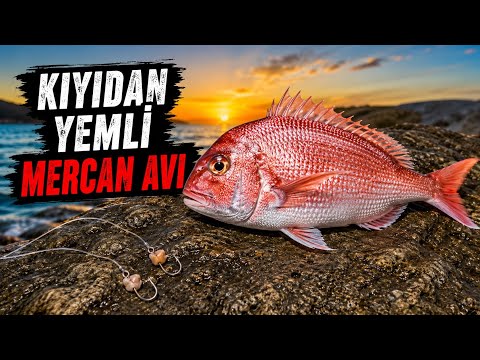 MERCAN MIRMIR ZARGANA HER TÜR BALIK YAKALADIK BU MERA EFSANE 