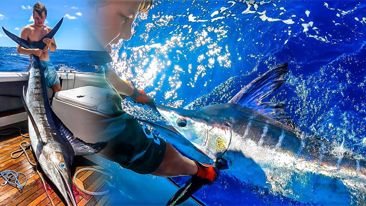 Striped Marlin Catch And Cook - YouTube