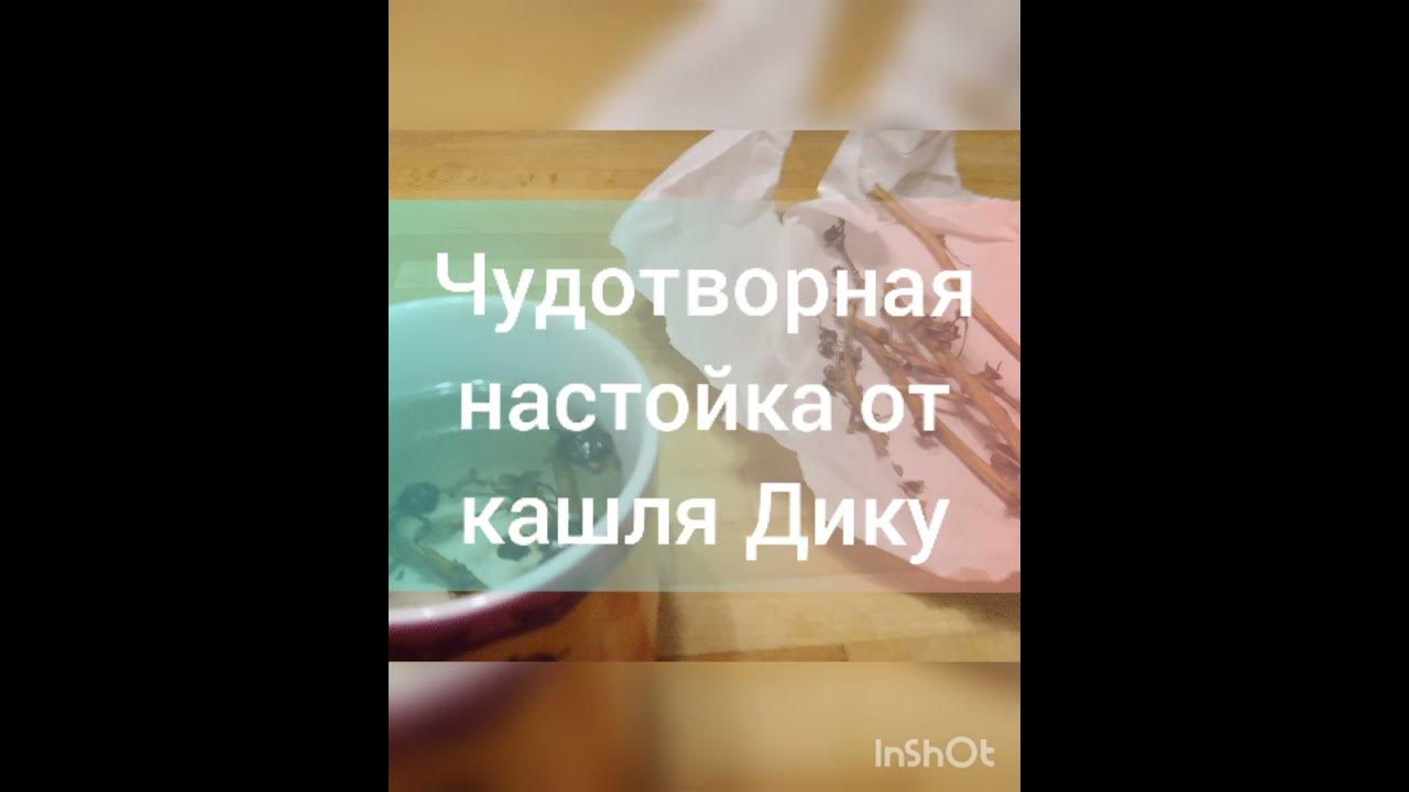 Чудотворная настойка от кашля и простуды Дику. - YouTube