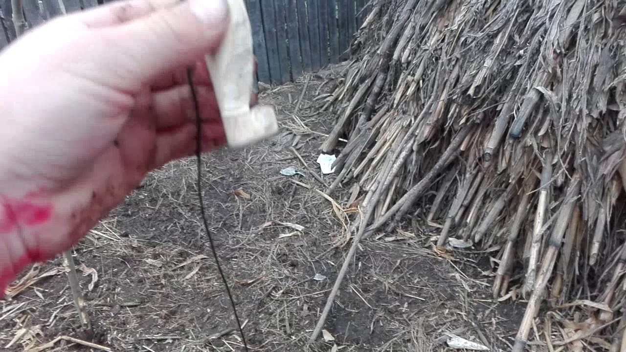 Capcana nouă de iepuri și fazani - YouTube