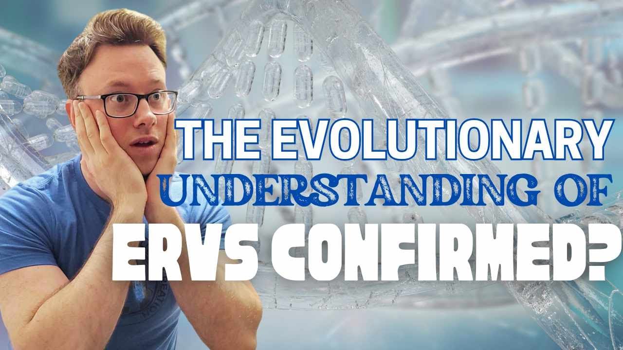 Has Jon Perry REALLY CONFIRMED the Evolutionary Understanding of ERVs ...