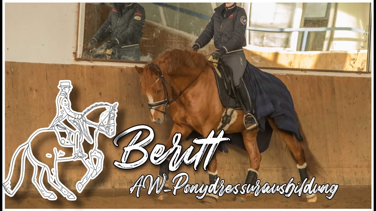 MEINE BEREITERIN REITET ZUM ERSTEN MAL MEIN PONY! 😍 // ASKINO - YouTube