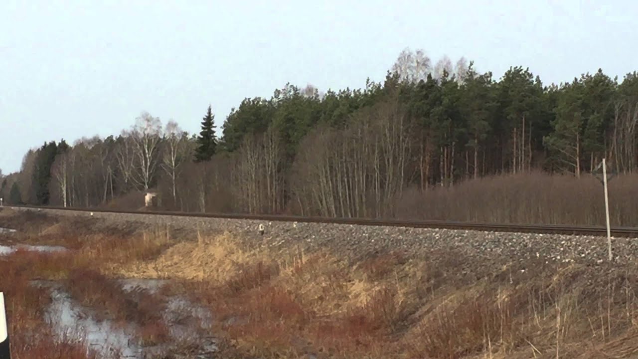 Elron train nr. 220 from Tallinn to Narva passing a level cross close ...