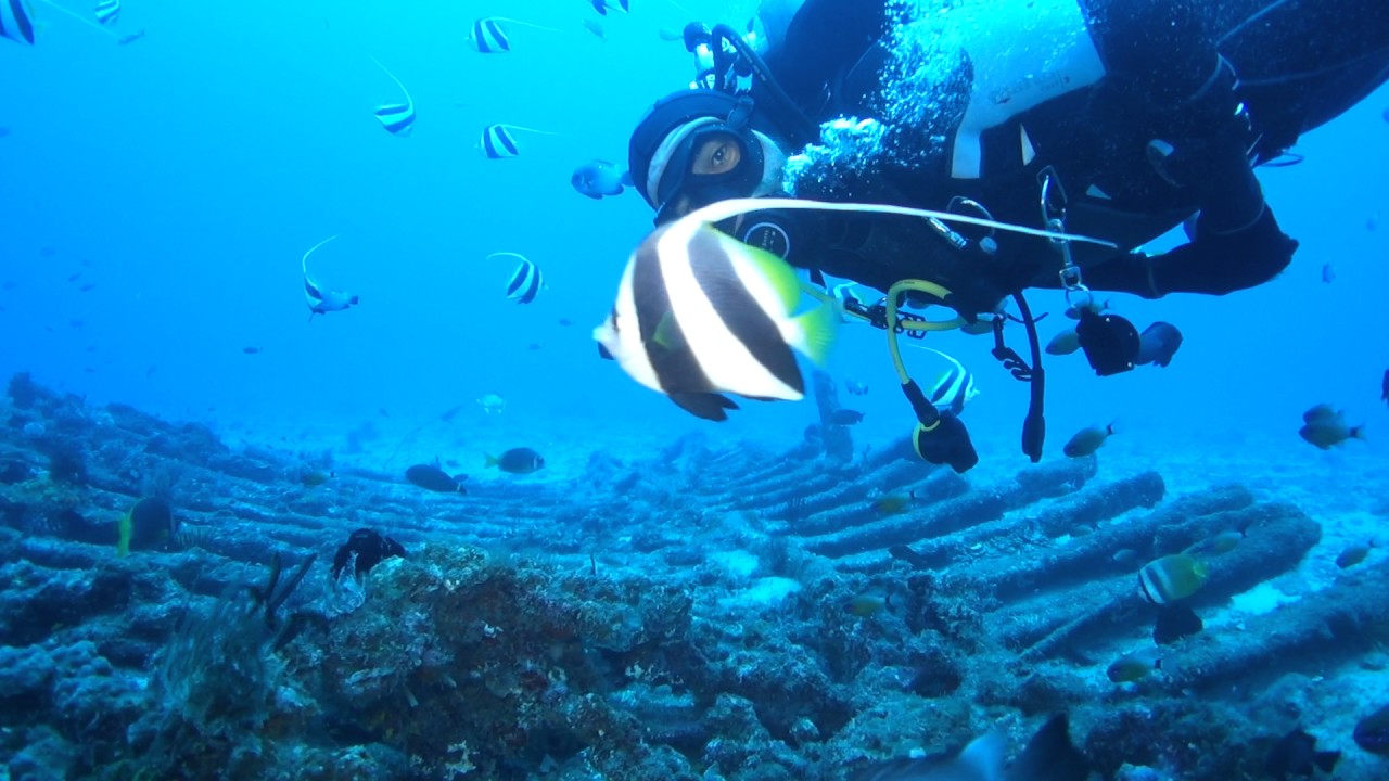 A quick visit to the 'Her Jie Wreck'with Messrs Gregory and Merk - YouTube