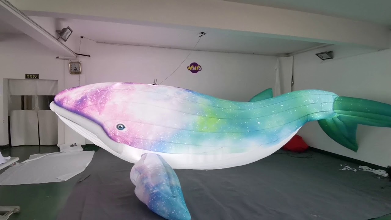 Hanging Inflatable Whale With LED Strip For Nightclub Decoration - YouTube