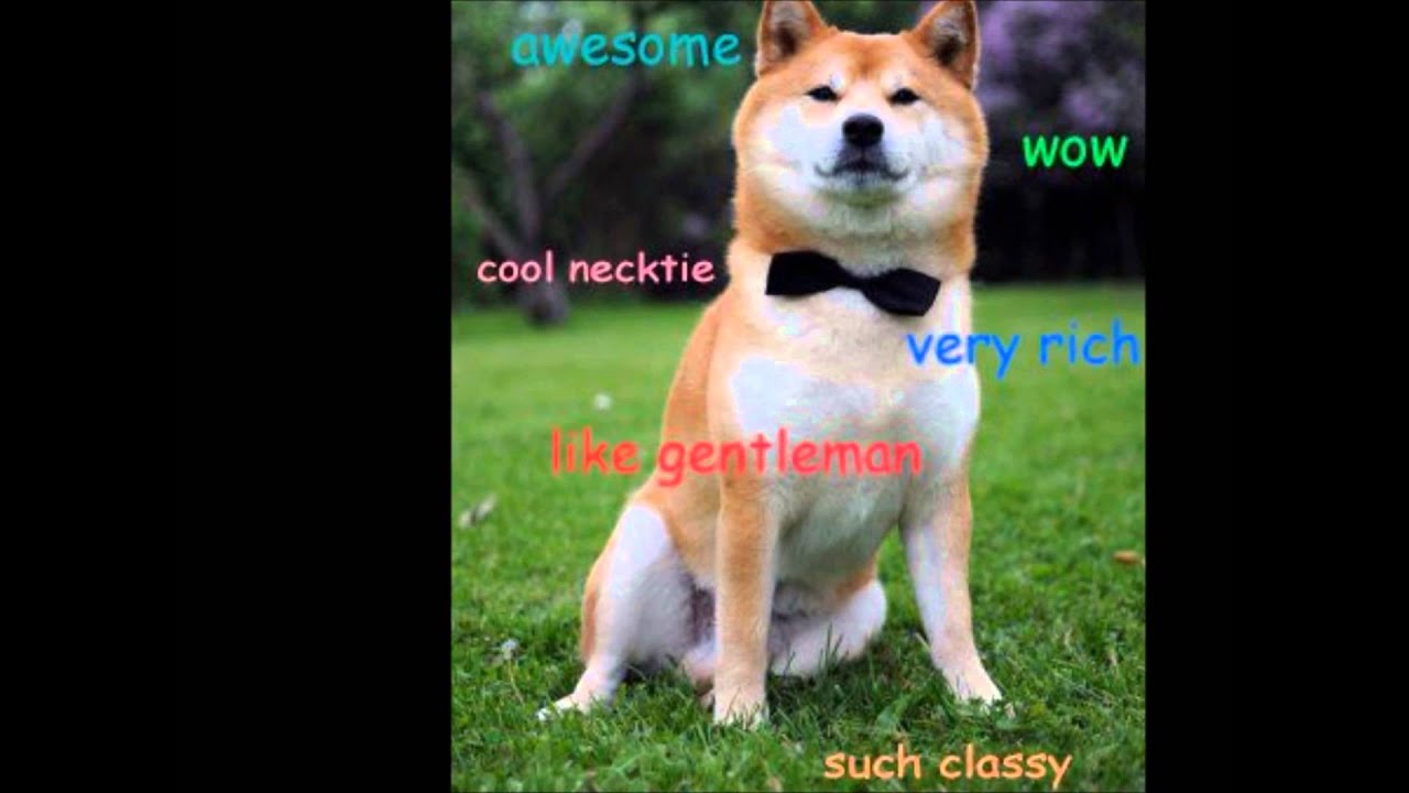 Much Fancy Doge - YouTube