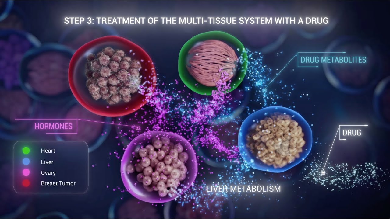 Fluosphera Technology: Non-Animal Systemic Alternative for Drug ...