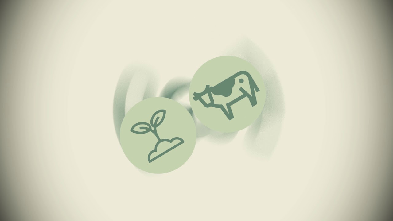 Effects of Climate Change - Chinyanja Version - YouTube