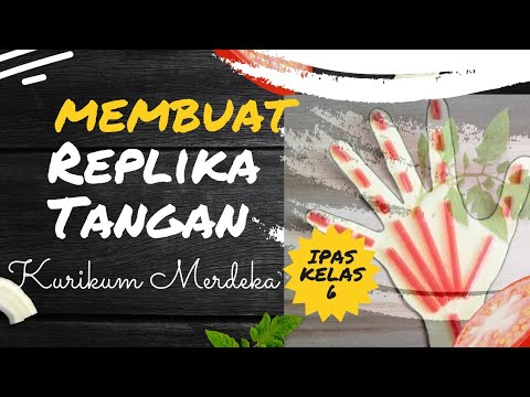 MEMBUAT REPLIKA TANGAN || IPAS Kelas 6a Kurikulum Merdeka - MIN 4 Kota ...