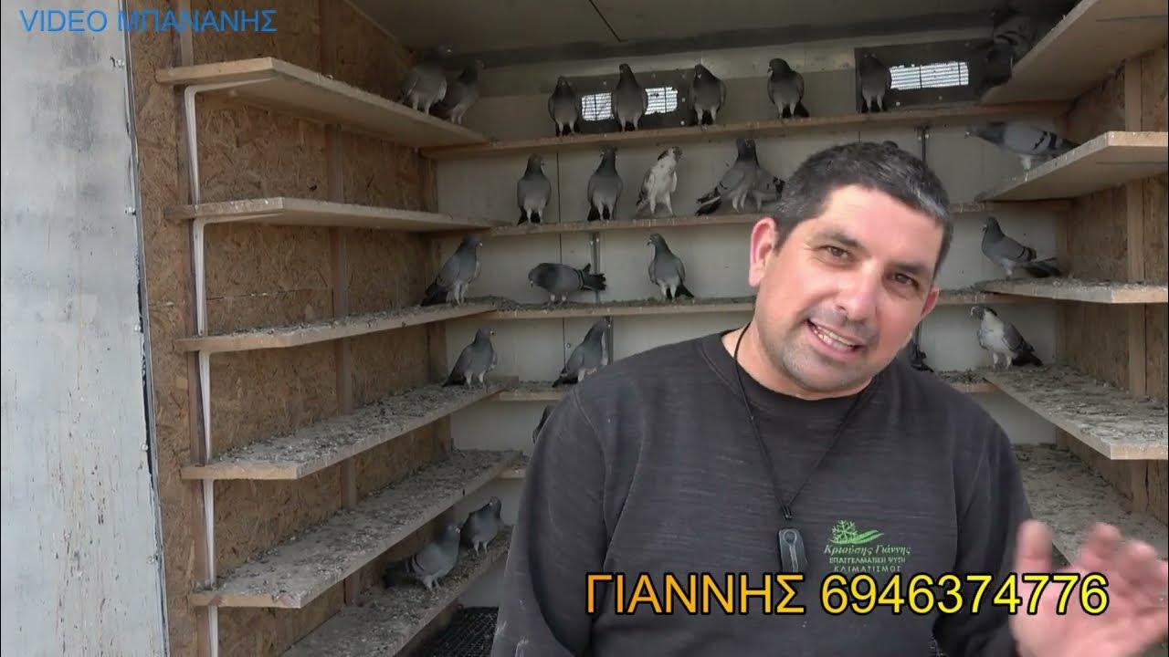 ΕΙΜΑΣΤΑΝ ΤΡΕΙΣ ΚΑΙ Ο ΚΟΥΚΟΣ ΣΤΟΝ ΓΙΑΝΝΗ ΣΤΑ ΕΣΩΒΑΛΤΑ 2024 Youtube