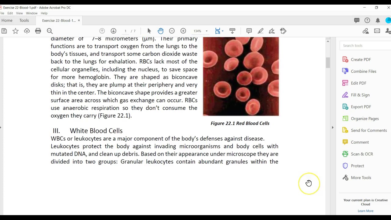 blood lab overview - YouTube