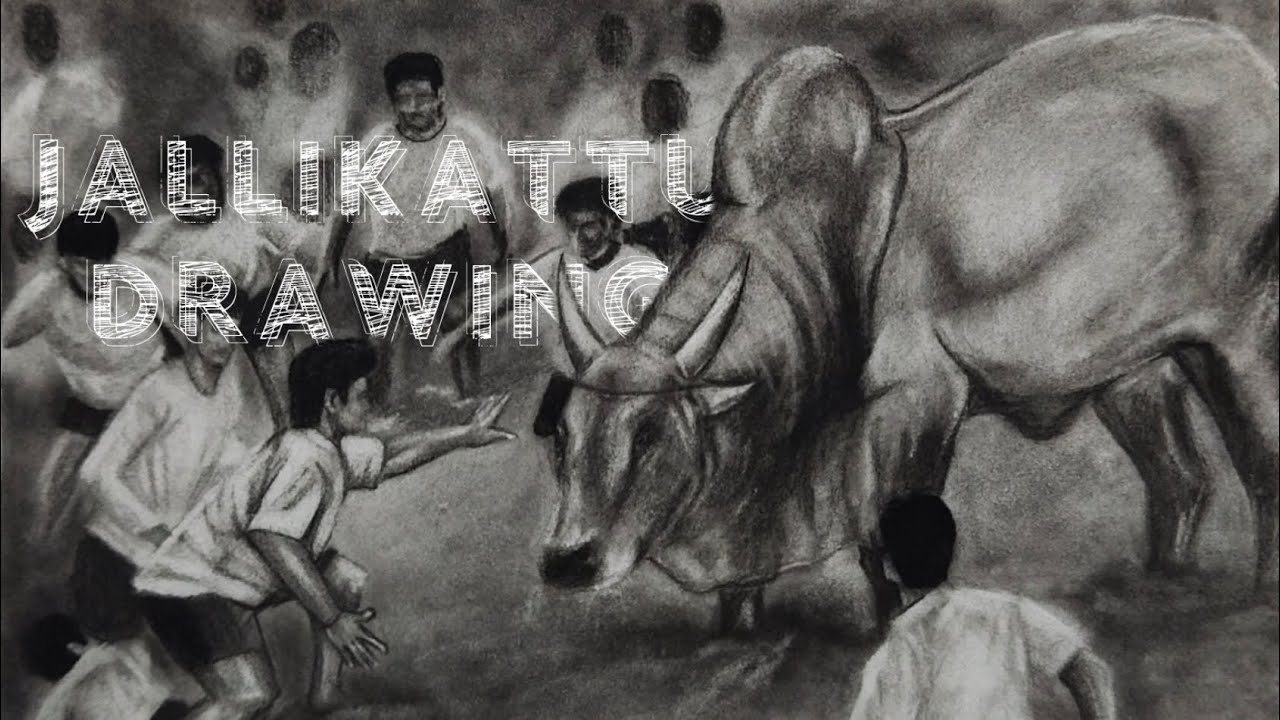 JALLIKATTU DRAWING ||#jallikattu #drawing #art || - YouTube