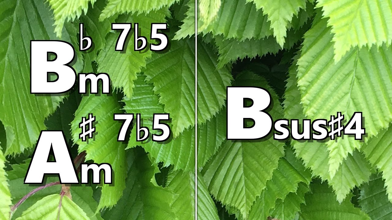 Bbm7b5 (A#m7b5) to Bsus #4 Backing Track - YouTube