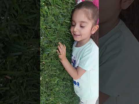 ESİLA ÇİMDEN KENE YAPIŞIR ANNECİM ‼️🦄🍭🤡🍬🍡 #keşfet #SH#shorts