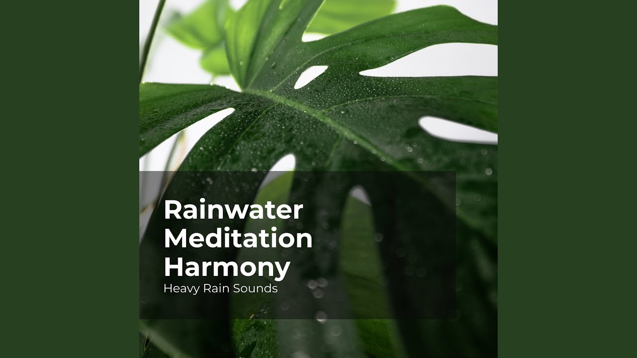 Pouring Storm Chorus - YouTube