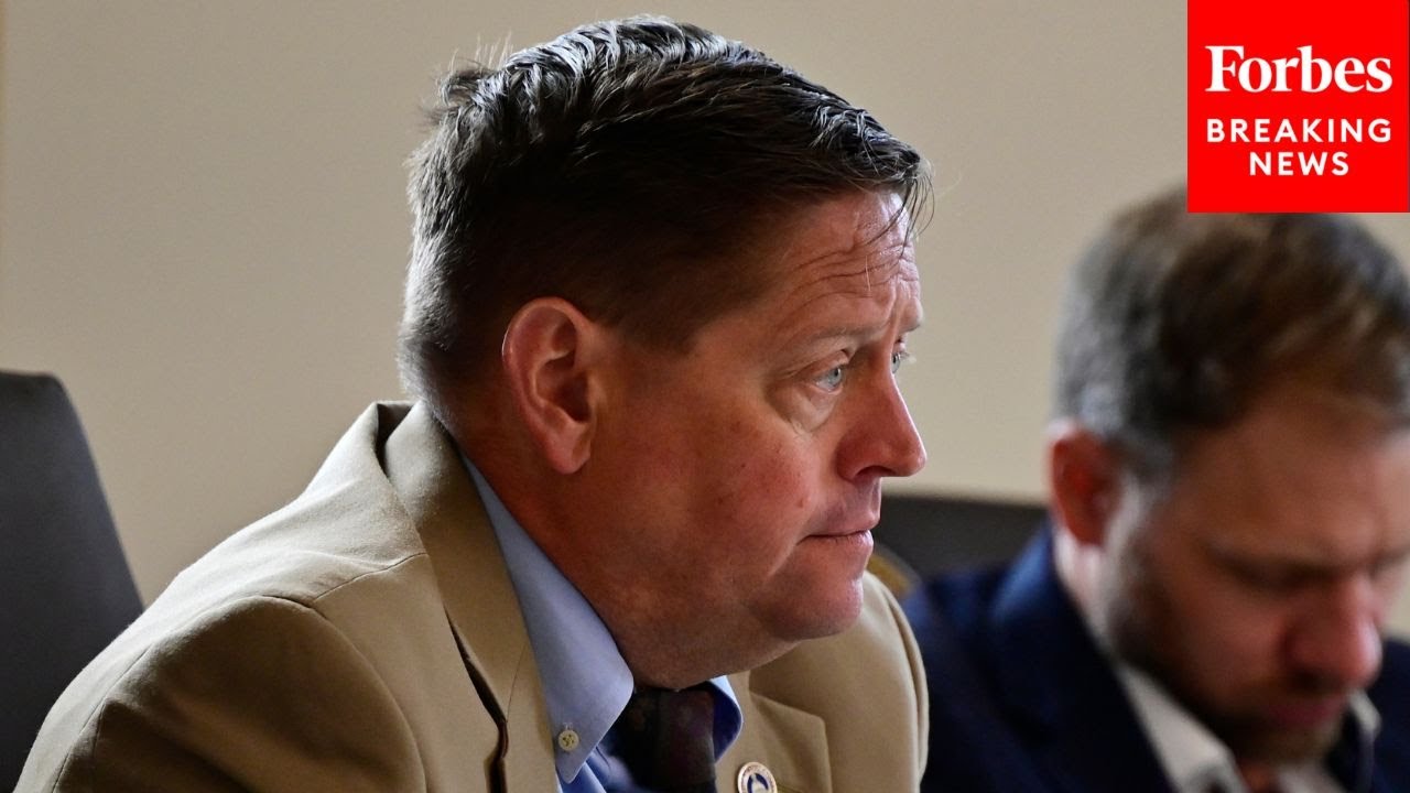 'A Learning Experience': Mike Lynch Discusses DUI That Caused Him To ...