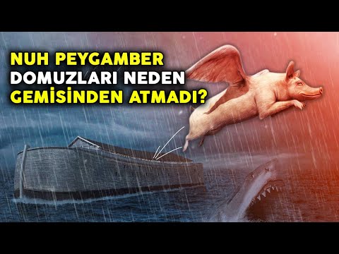 İslam'a Göre Haram ve Necis Olduğunu Bildiği Halde Neden Nuh Peygamber DOMUZU Denize Atmadı?