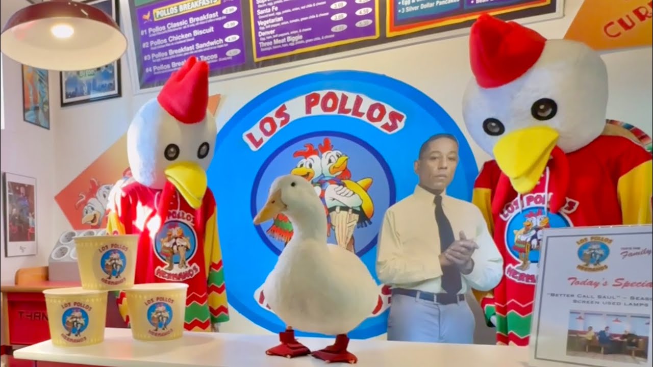 I took my duck to the Breaking Bad Museum - YouTube