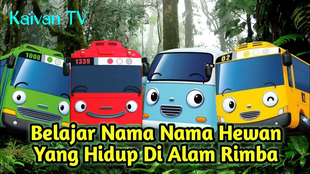 TAYO Bis Kecil Belajar Nama Nama Hewan Yang Hidup Di Alam Rimba - YouTube