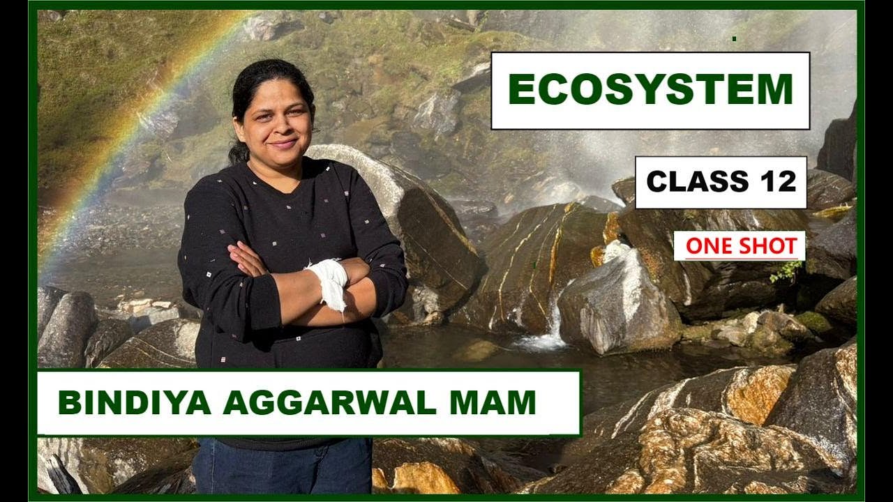 Ecosystem Class 12 Biology | Ecosystem NEET 2025 | Ecosystem Class 12 ...