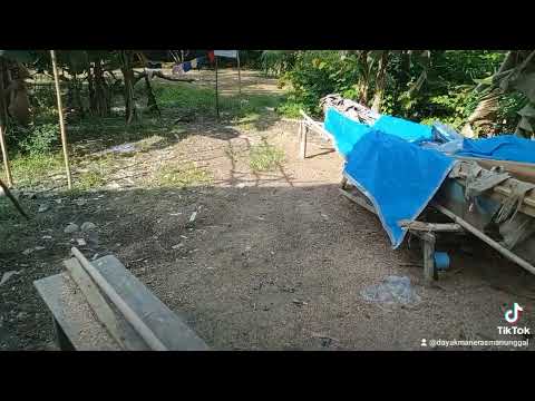 Proses Pembuatan Sipet (Pasah Itah)