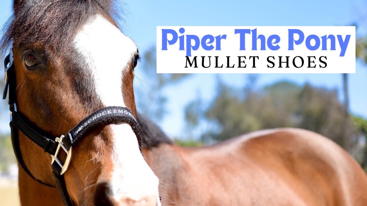 Piper predicts mullet shoes are this year’s back to school shoe trend ...