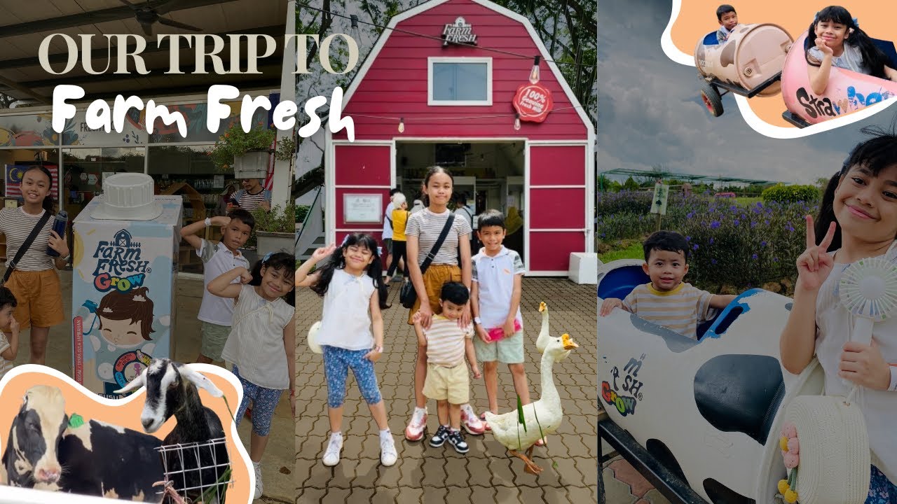 Our Trip to Farm Fresh @ UPM | Vlog - YouTube