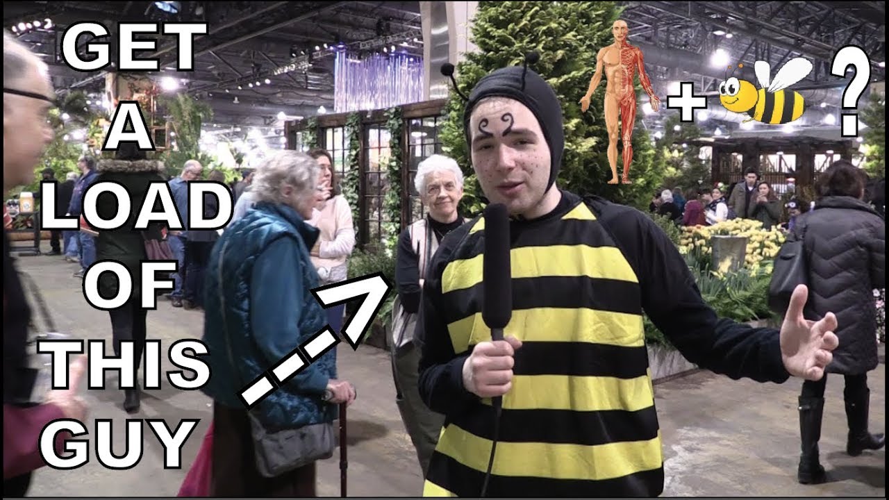 A Human Bee?? 👦+🐝 - YouTube