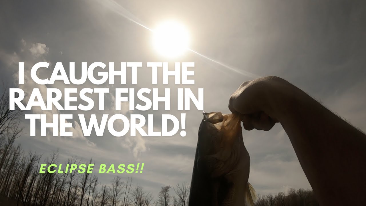 I caught the rarest bass in the world! Epic Great American Eclipse ...