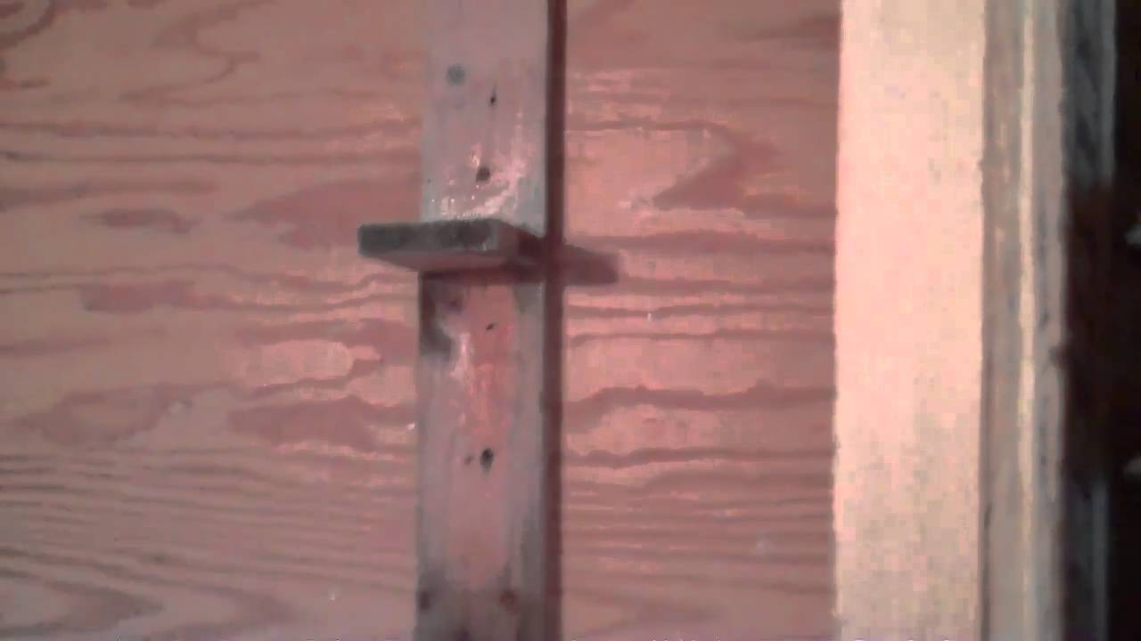 Racing Pigeons; Stick Perch, Lavender Hill Lofts, Washington DC - YouTube