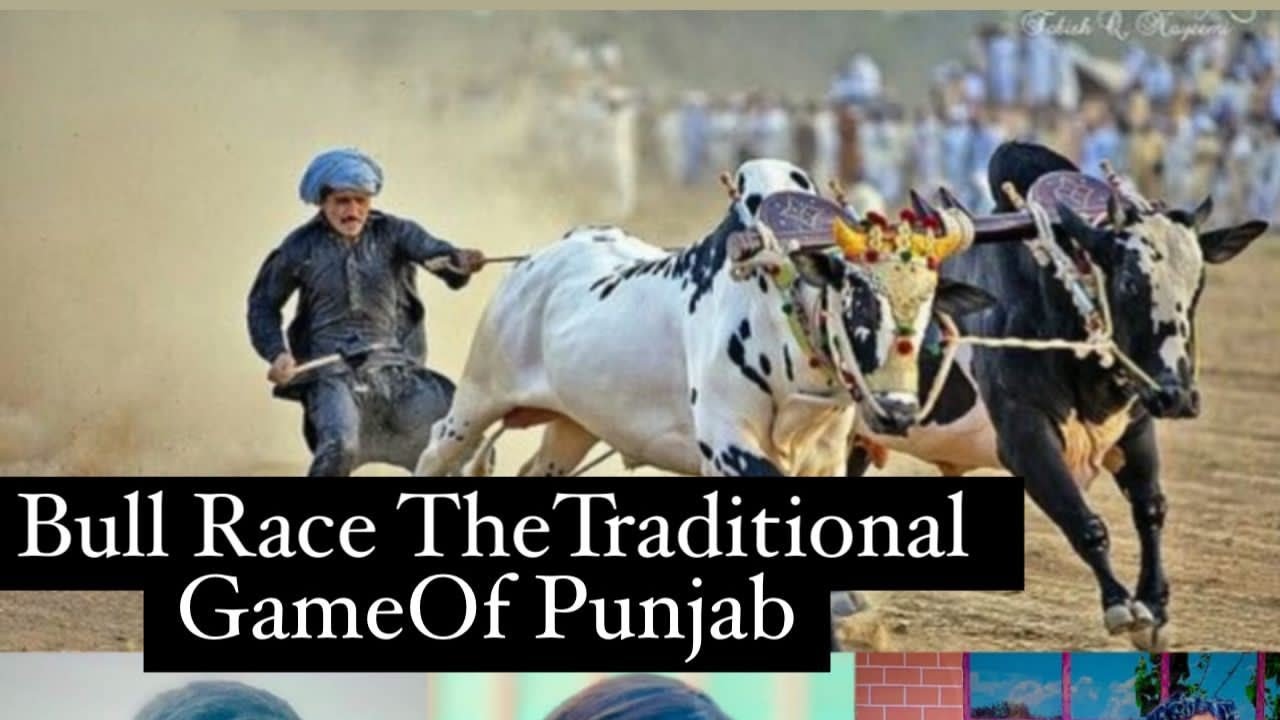 Bull Race:Traditional Game of Punjab | Pakistan #bullrace #villagelife ...