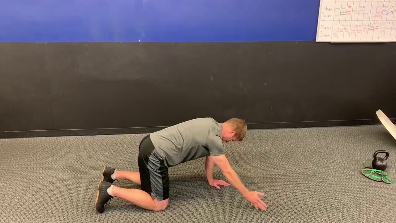 Quadruped Shoulder Y's - YouTube