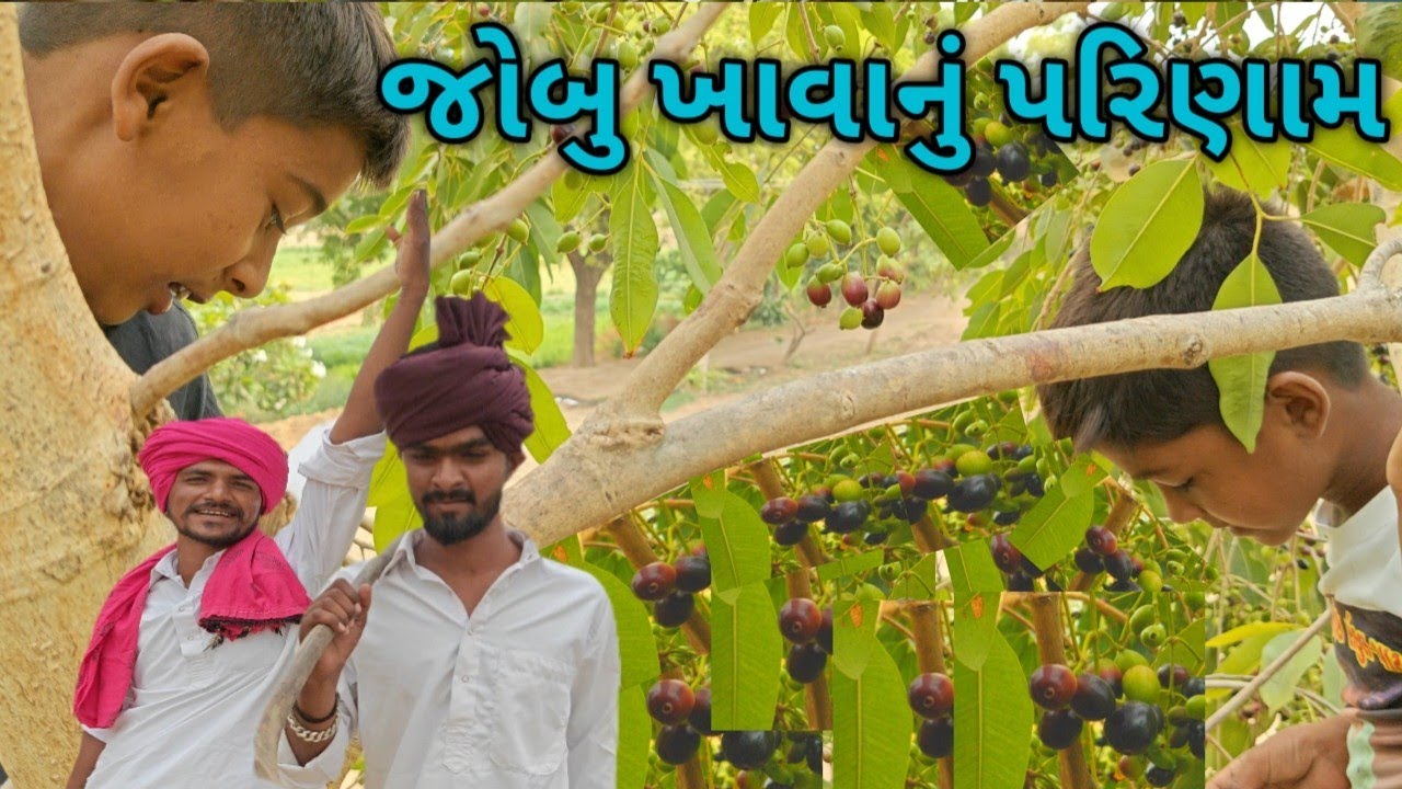 જાંબુ ખાવાનું પરિણામ ||Jambu khavanu Parinam || Gujarati comedy video ...