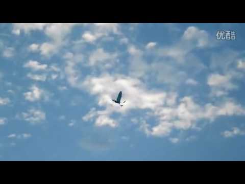 LEFLY 3CH Flapping Wing UAV RTF 2.4GHz