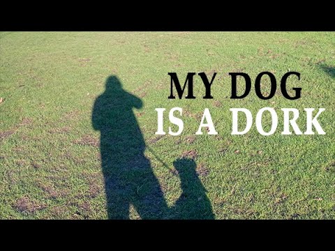 morning coffee | my dog is a dork | jerry huynh - YouTube
