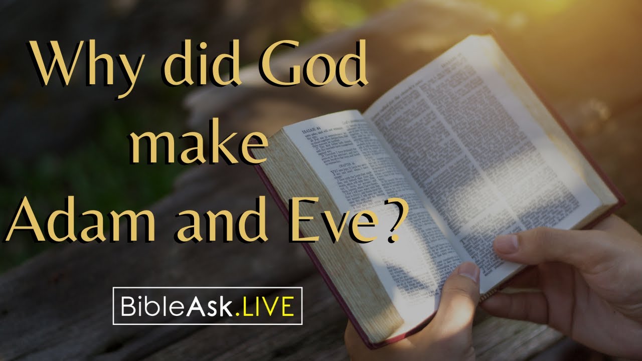 Why did God make Adam and Eve? - YouTube